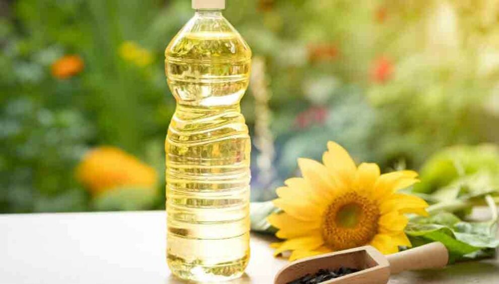 Les meilleures huiles de friture en 2025 ! Avis d'un Chef